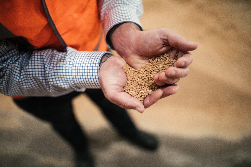 Custom Blends | Feeds NZ | GrainCorp