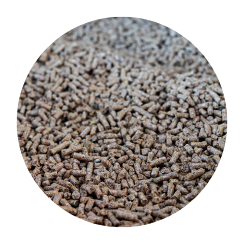 Starch Based | Animal Nutrition NZ | GrainCorp