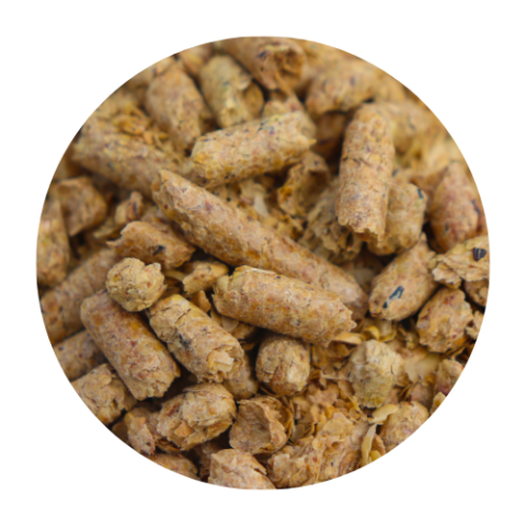 Protein Based | Animal Nutrition NZ | GrainCorp