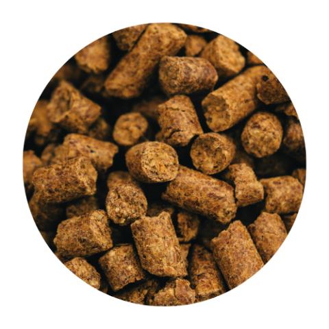 Protein Based | Animal Nutrition NZ | GrainCorp